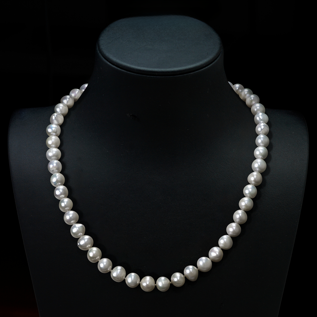 Borneo Pearls Official